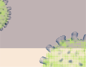 Environmental Toxin Screen - The Q Institute